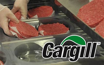 Building a global packaging supply network for Cargill Inc. without ...
